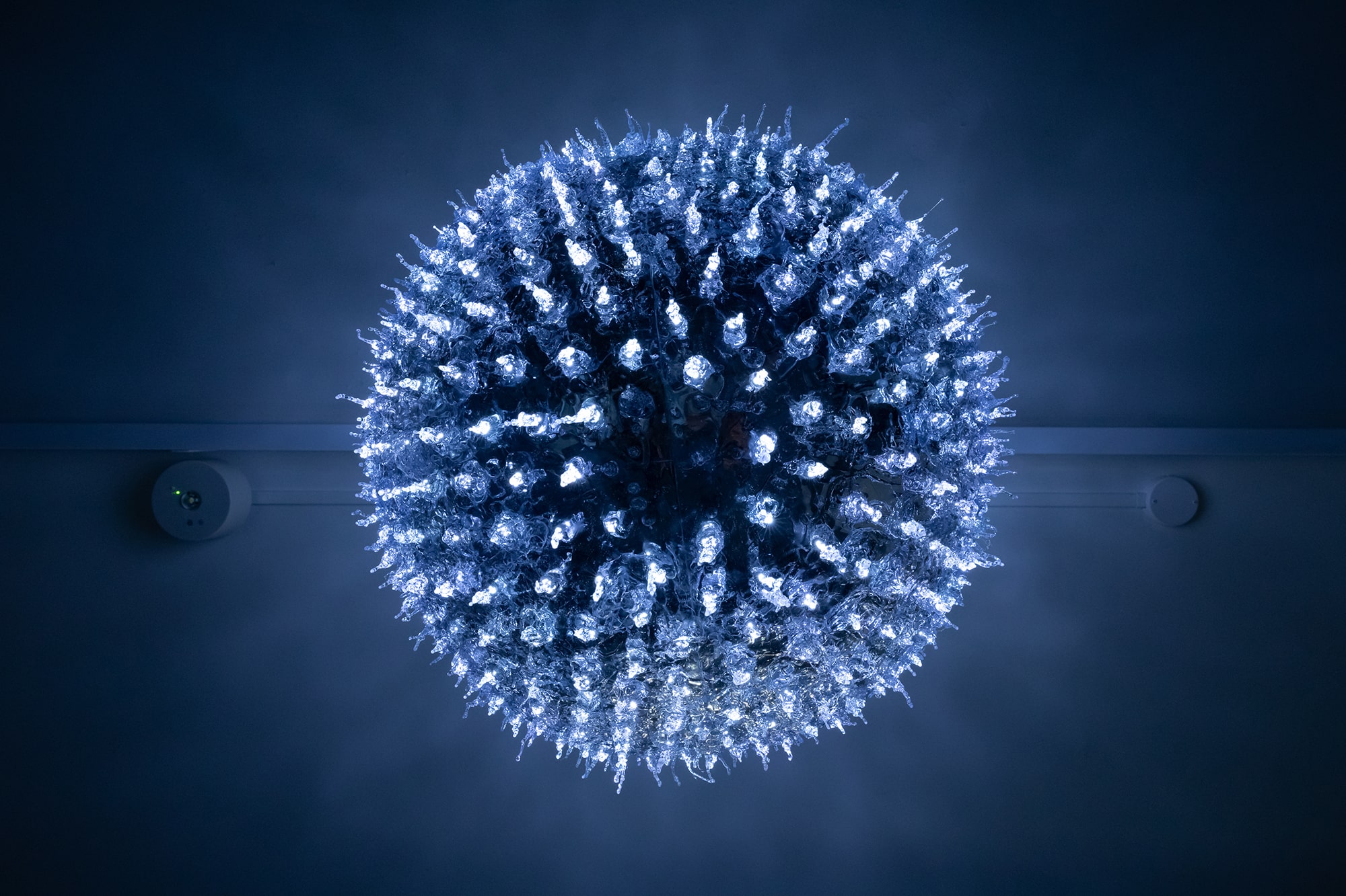 glow ⇄ grow : globe | TAKT PROJECT